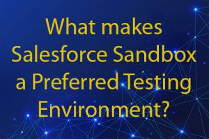 What makes Salesforce Sandbox a Preferred Testing Environment?